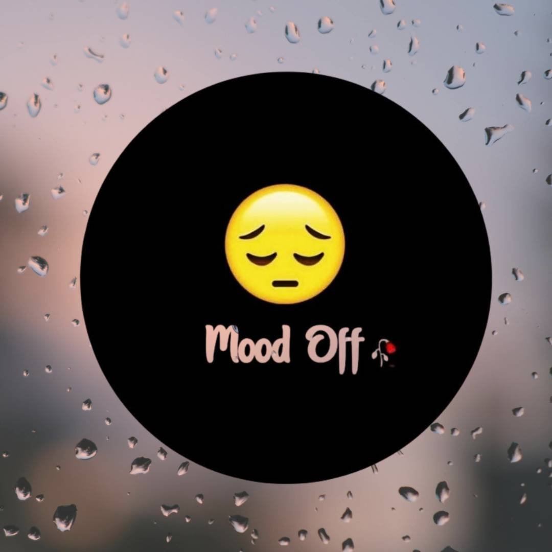 WhatsApp DP, Pics, Photos, Images, Wallpapers (2025) - Snap DP